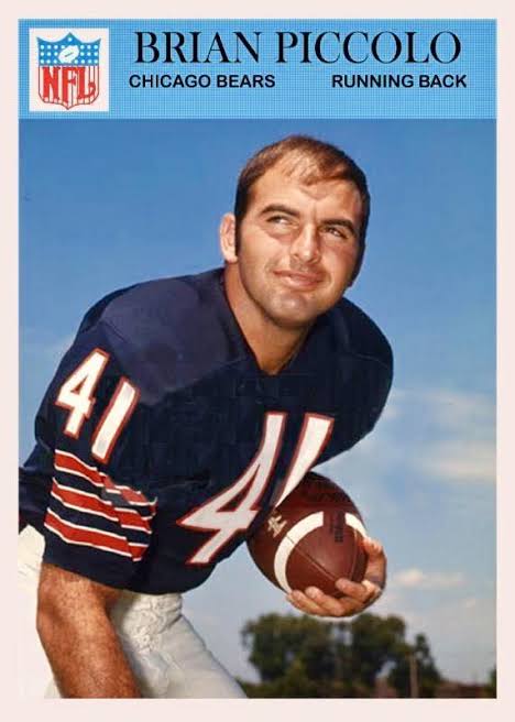 Brian Piccolo Chicago Bears Official NFL NIKE Jersey – Classic Authentics